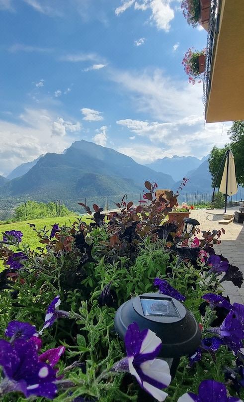 Lo Noyer Et Les Roses - Aosta Valley
