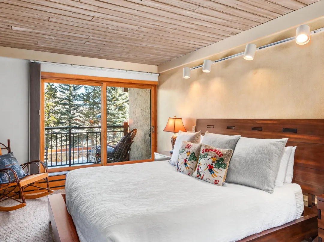 Gas Fireplace And Outdoor Hot Tubs - Cozy Deluxe Haven - Aspen, CO