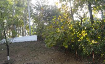 Garhwal Mandal Vikas Nigam, Pauri Garhwal - Book with Updated Prices ...