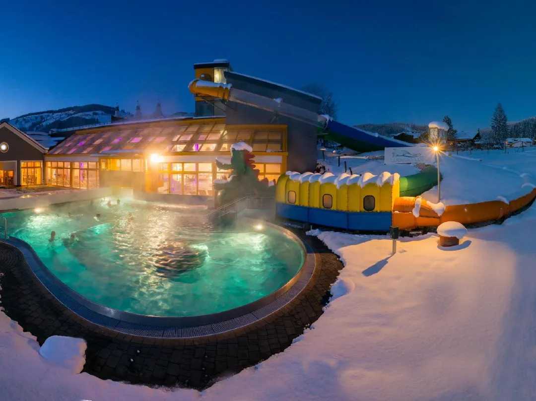 Goldhirsch Aparthotel - Wagrain
