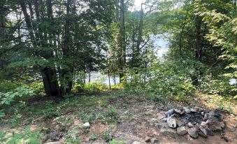 Lost Loft - NEW Waterfront Tiny Cottage. Sleeps 2, off-grid, quiet lake ...