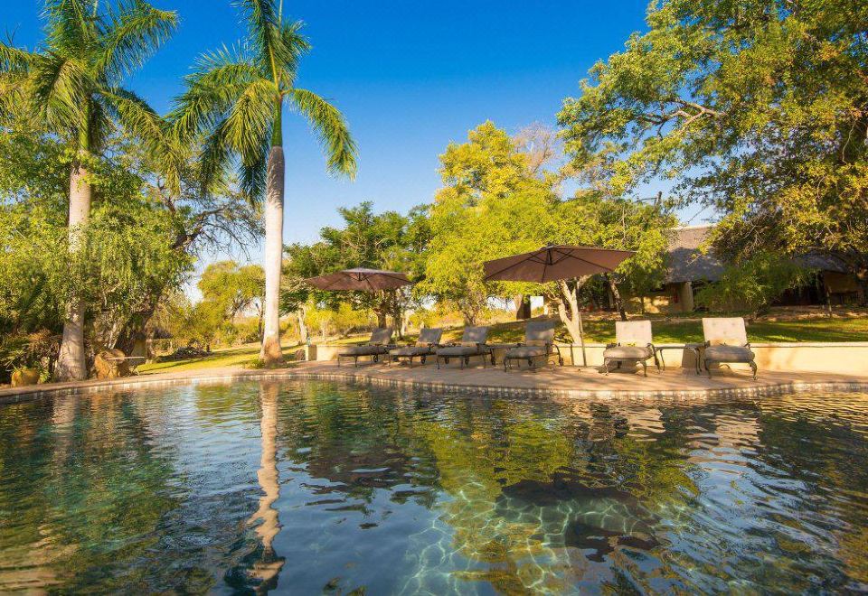 Inyathi: Where Tradition Meets Modernity in the Heart of Zimbabwe