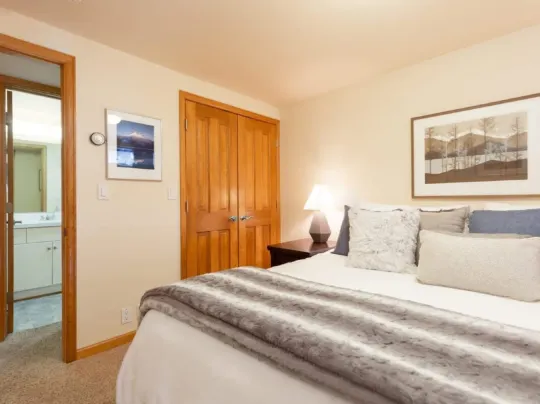 Spacious Private Patio And Radiant Heating - Charming Aspen Retreat - Aspen, CO