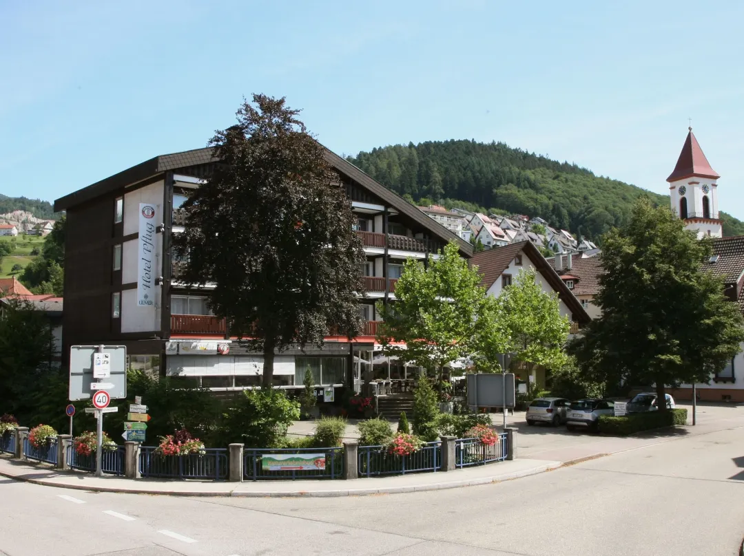 Hotel Pflug - Oppenau