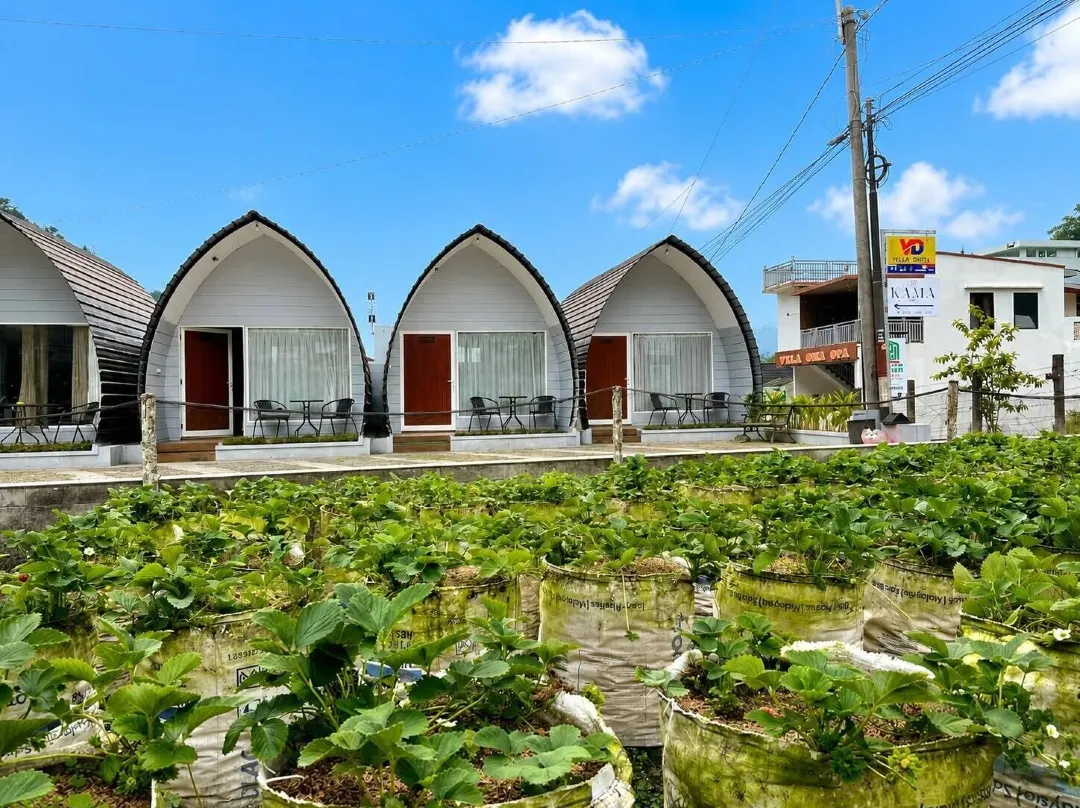 Glamping Assalam Syariah - Tawangmangu