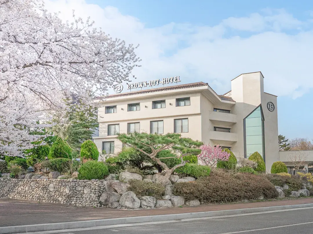 Gyeongju Brown Dot Gyeongju Bomun Branch - Gyeongju
