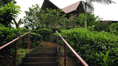 Casa Sinchi Sacha Jungle Lodge-Puerto Misahualli Updated 2023 Room ...