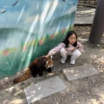 Nantong Sendi Tribe Treehouse Reviews: 4257 Real Guest Ratings 2025 ...