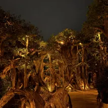 Nantong Sendi Tribe Treehouse Reviews: 4257 Real Guest Ratings 2025 ...