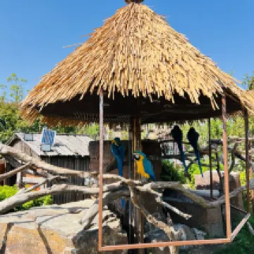 Nantong Sendi Tribe Treehouse Reviews: 4257 Real Guest Ratings 2025 ...