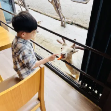 Nantong Sendi Tribe Treehouse Reviews: 4257 Real Guest Ratings 2025 ...