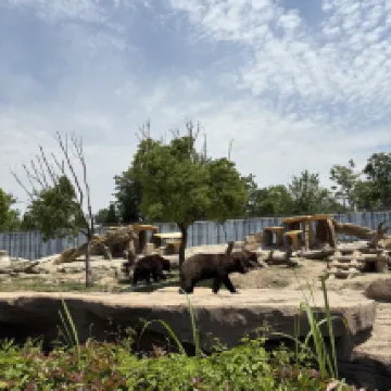 Nantong Sendi Tribe Treehouse Reviews: 4257 Real Guest Ratings 2025 ...