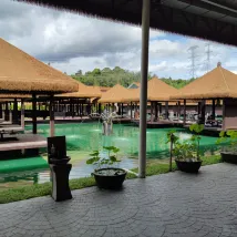 Monkeys Canopy Resort Reviews - 370 Guest Reviews & Ratings | Trip.com