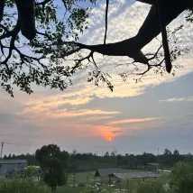 Nantong Sendi Tribe Treehouse Reviews: 4257 Real Guest Ratings 2025 ...