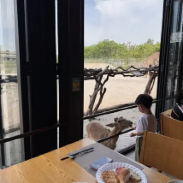 Nantong Sendi Tribe Treehouse Reviews: 4257 Real Guest Ratings 2025 ...