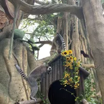 Nantong Sendi Tribe Treehouse Reviews: 4257 Real Guest Ratings 2025 ...