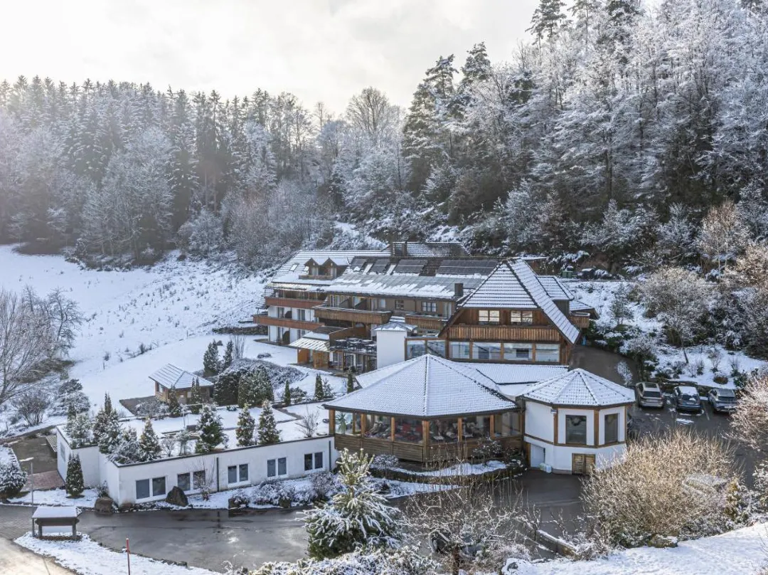 Hotel Käppelehof - Hornberg