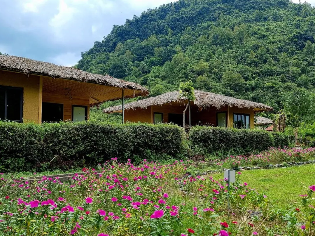 Nasan Green Farm - Tỉnh Cao Bằng