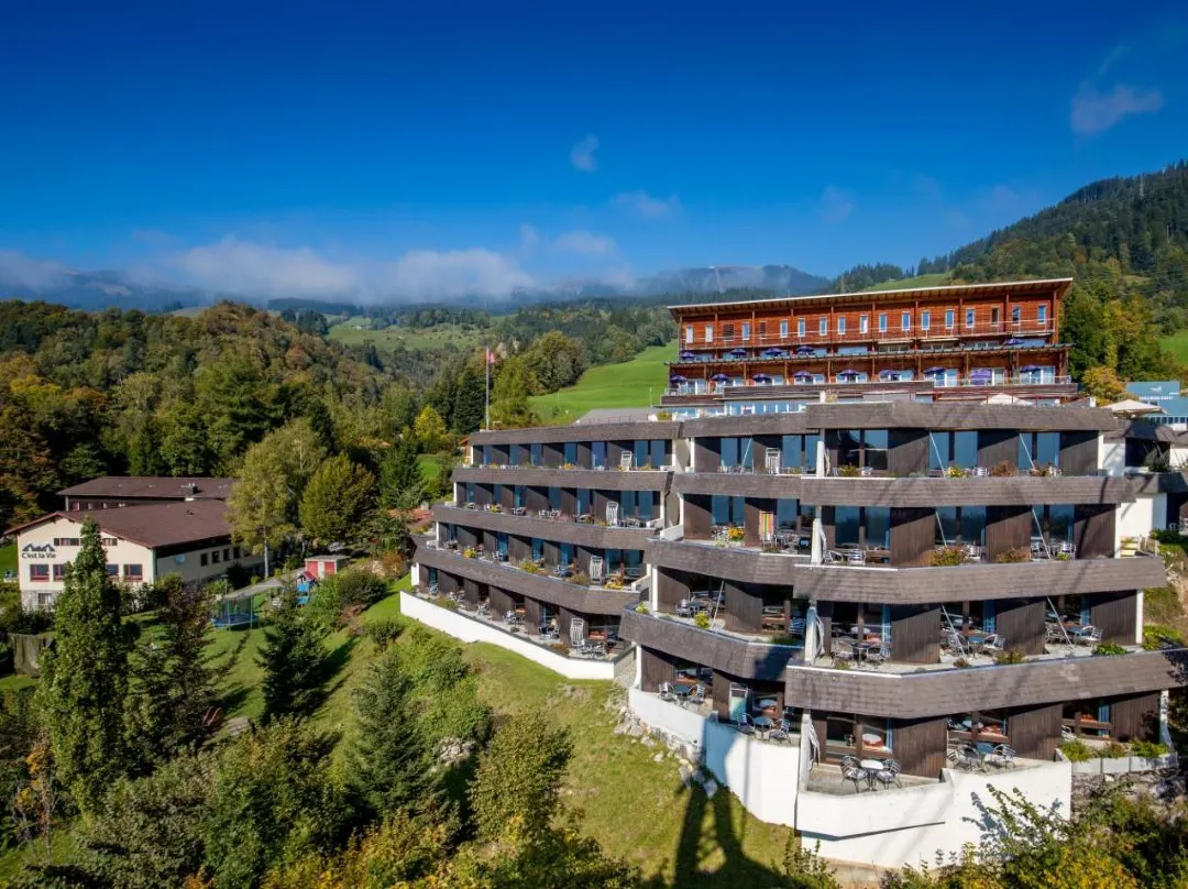 Hotel Panorama - Meiringen