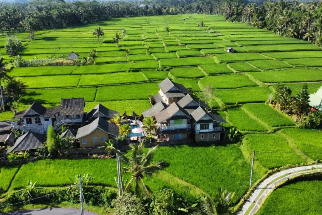 Ananda Jj Ubud Resort & Spa - Ubud