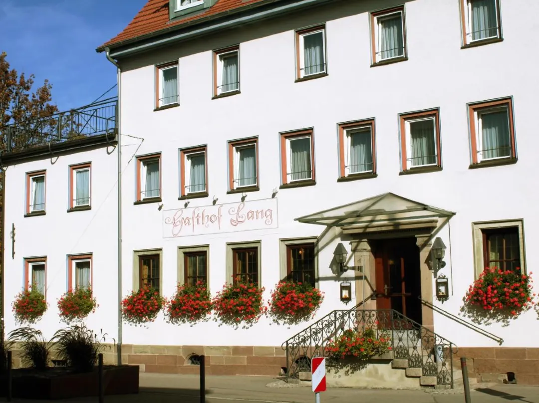 Hotel Gasthof Lang - Balingen