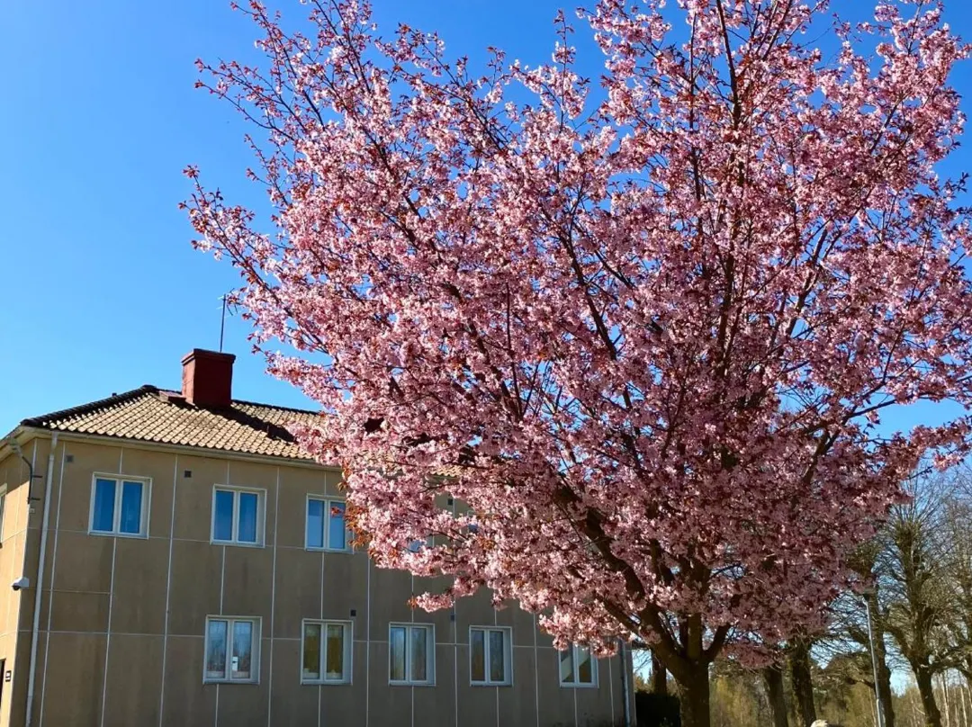 Partille Vandrarhem - Göteborg