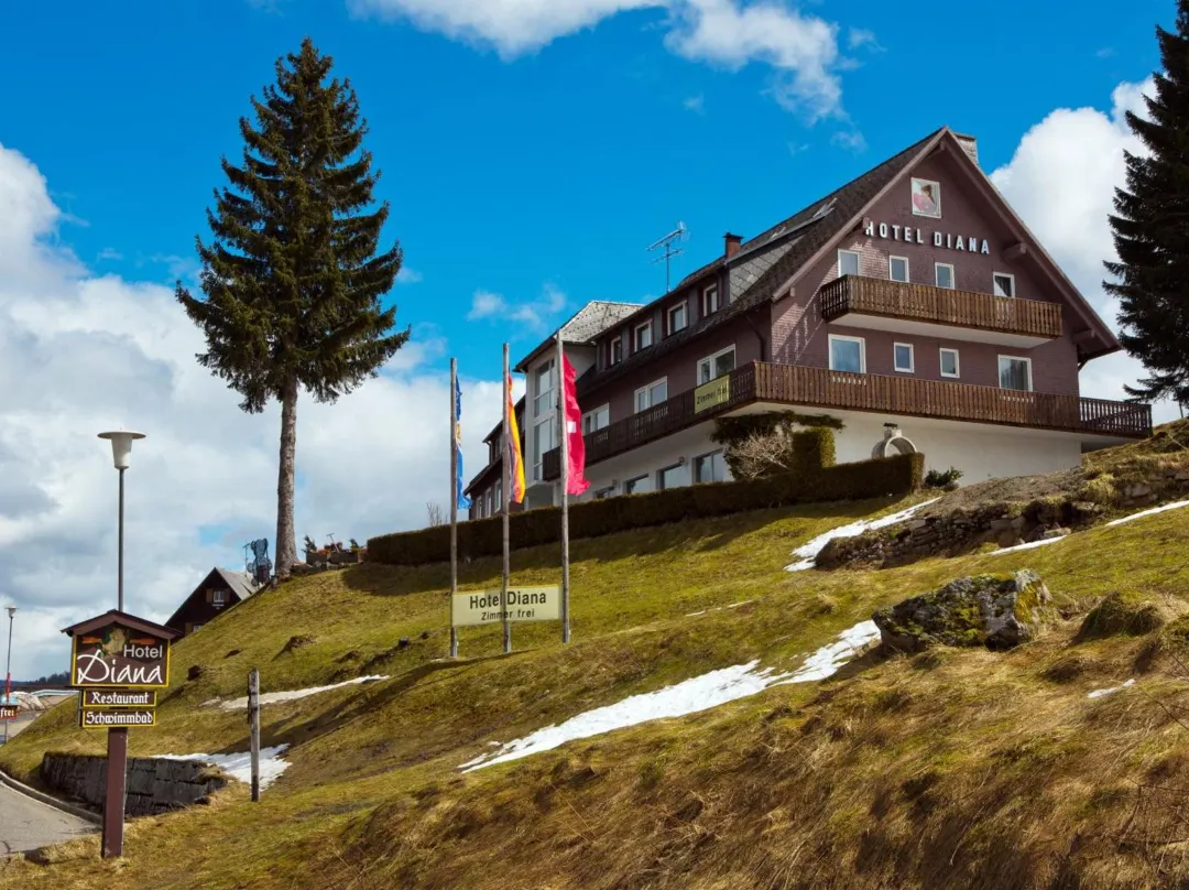 Hotel Diana - Feldberg