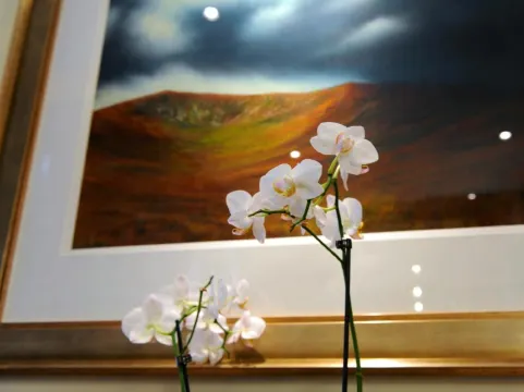 Wolfscastle Country Hotel - Pembrokeshire