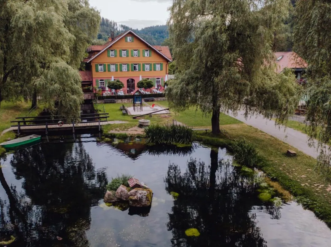 Hotel Zur Alten Mühle - Black Forest