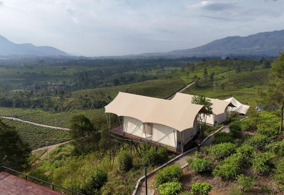 Nimo Tea Resort, Pangalengan - 2025 Latest Prices & Deals | Trip.com