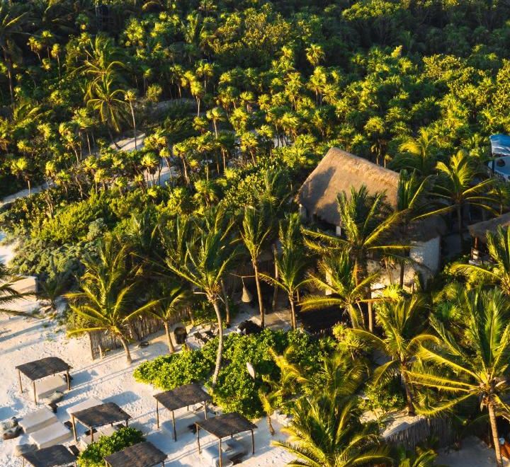 Nest Tulum, Tulum - 2026 Prices & Reviews | Trip.com