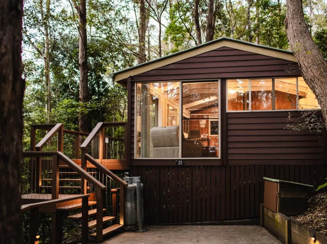 Kondalilla Eco Resort - Montville