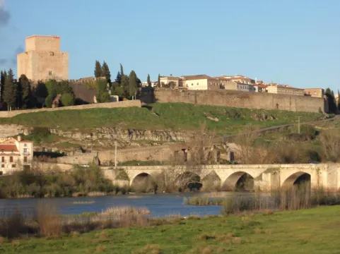 Hostal Mirobriga - Ciudad Rodrigo
