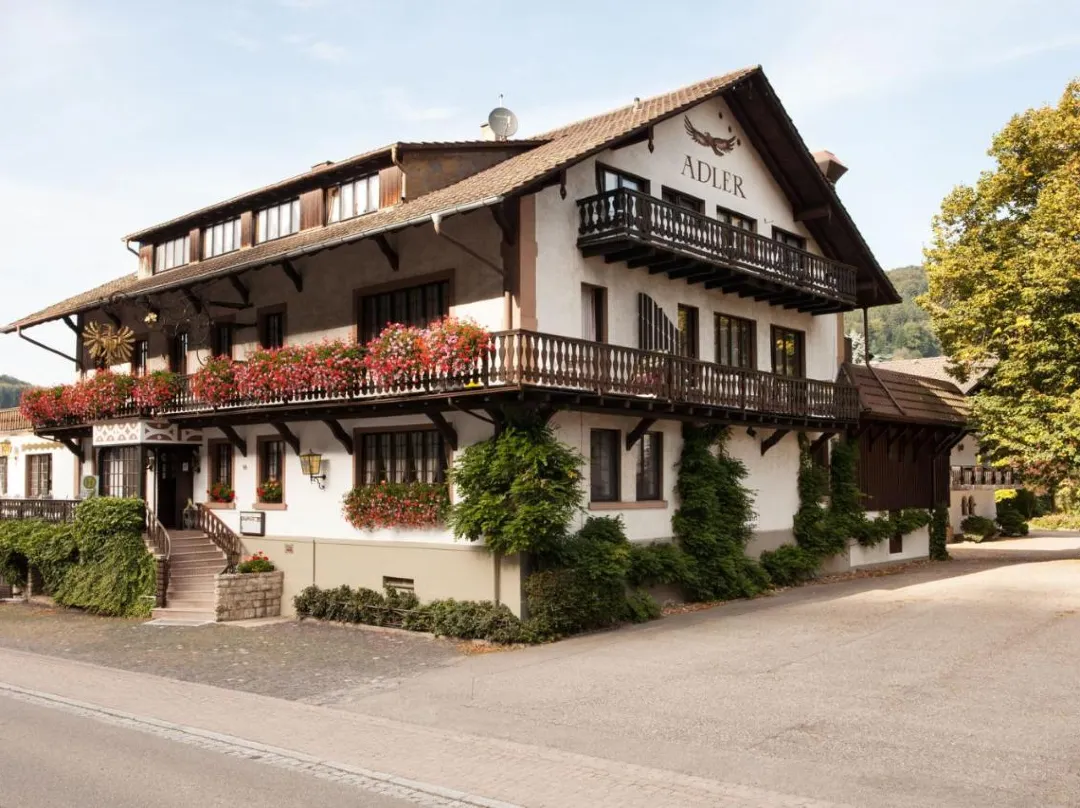 Hotel Gasthaus Adler - Fribourg-en-Brisgau