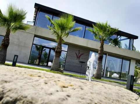 La Fucina Di Vulcano - Catania