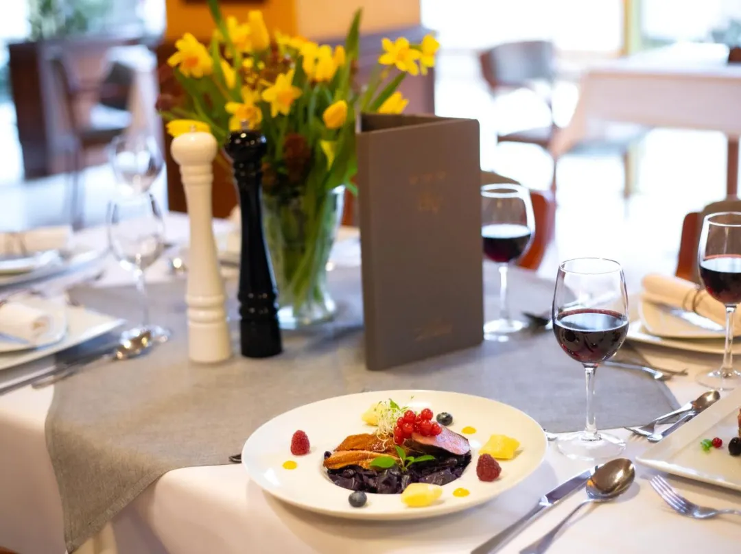 Business Hotel Vega Wrocław - Wrocław
