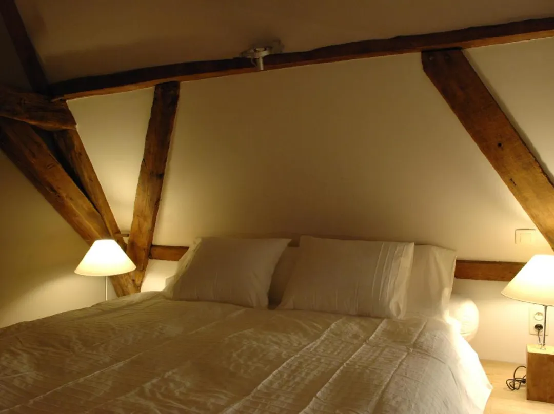 De Waterzooi Suites - Gent