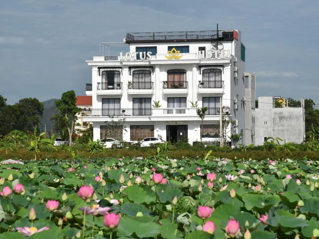 Lotus Hotel Ninh Bình - Tỉnh Thanh Hóa