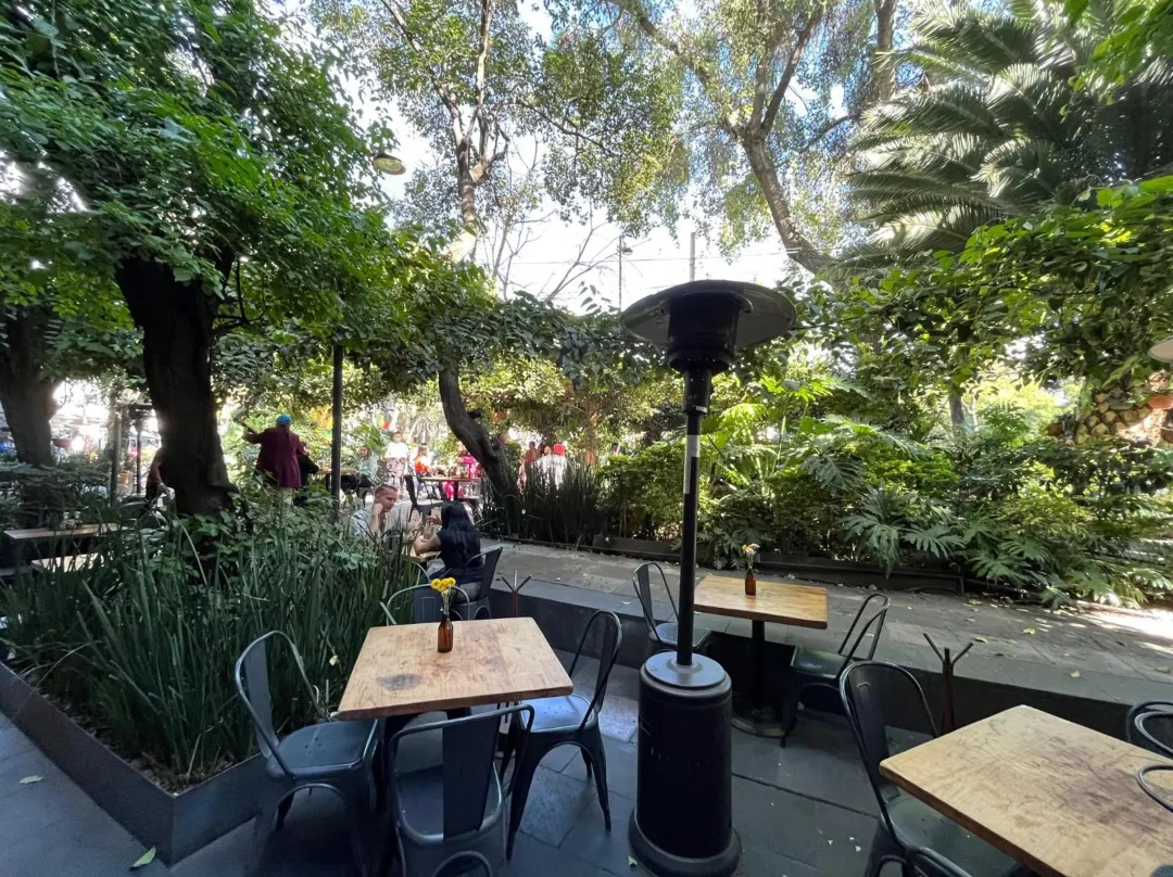 Boutique Hotel Durango219 - Ciudad de México