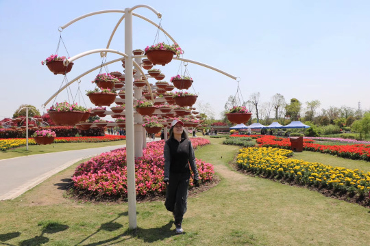 Shanghai Flower Garden Square | Best Flower Site