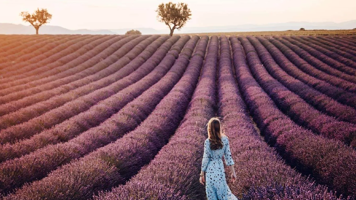 프랑스 프로방스 베르됭 그랜드 캐년과 생트크루아 호수 무티에 생마리 발랑솔 일일 투어 니스 개인 차량 투어 및 왕복