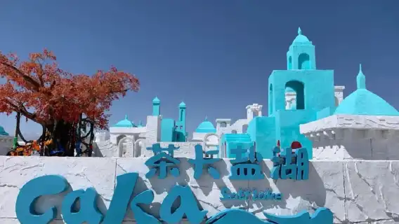 Quick tour of Northwest China: 1-day tour of Chaka Salt Lake + Qinghai ...