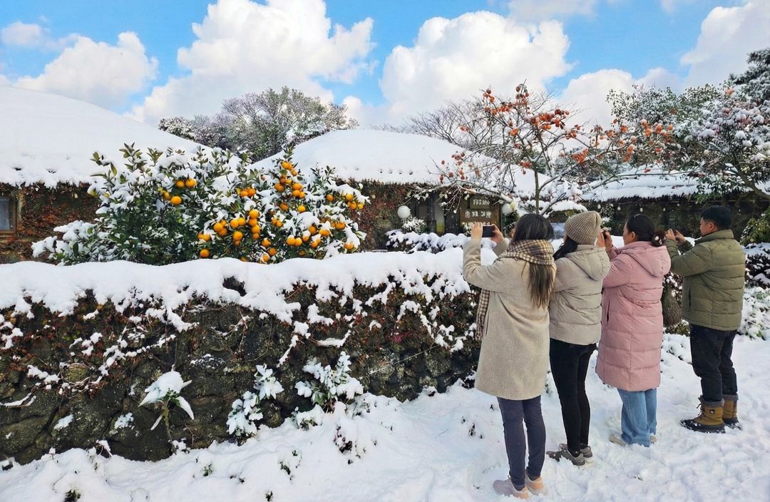 Jeju City Sightseeing Bus | Trip.com