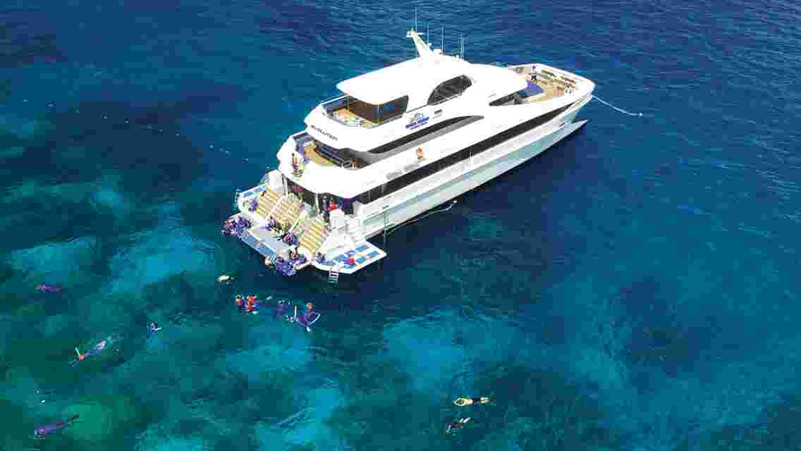 그레이트 배리어 리프 일일 투어 오스프리 에볼루션 그레이트 배리어 리프 스노클링 헬리콥터딥 다이빙 추가 가능