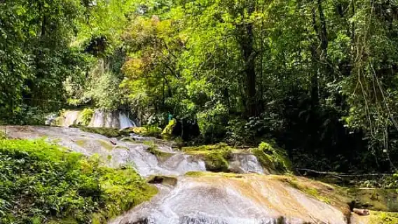 Portland Day Trip | Trip.com