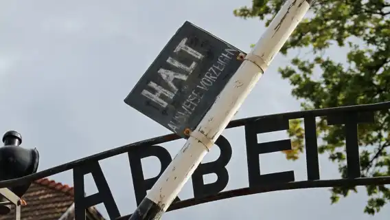 Auschwitz-Birkenau: Memorial Entry Ticket and Guided Tour | Trip.com