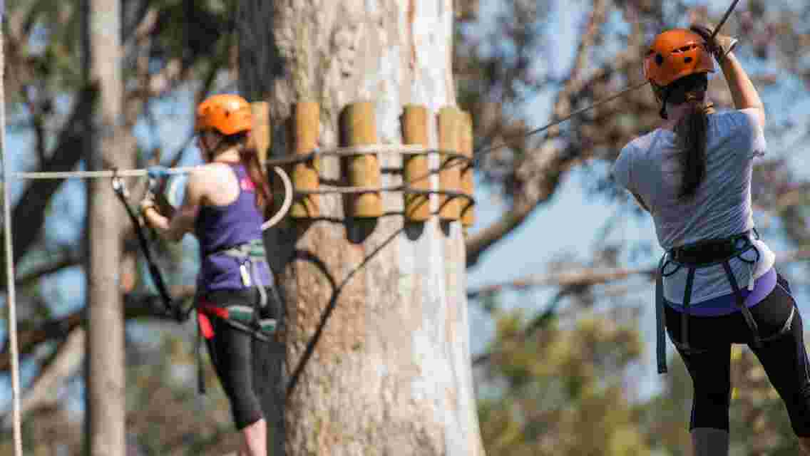 Treetops Adventure: Nowra Park| Trip.com