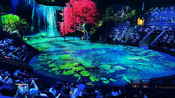 "Shanghai ERA Acrobatic Show Tickets | Circus World"-Instant E-ticket ...