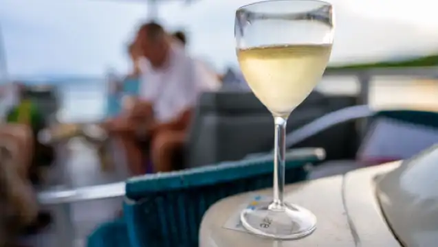 Cairns Trinity Inlet Sunset Sightseeing Cruise (Includes Beer & Snacks ...