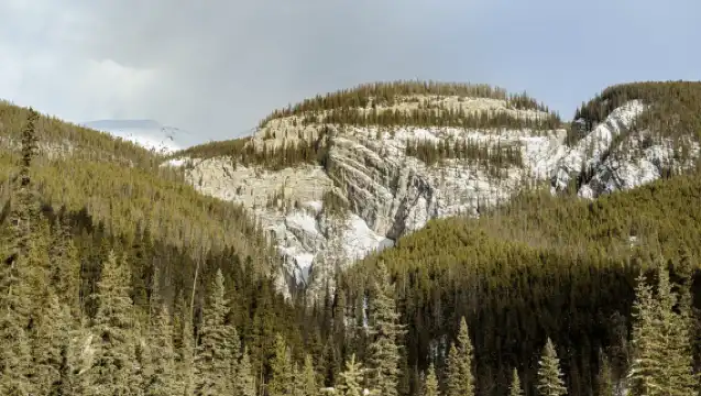 Jasper: Maligne Valley And Pleckatis Canyon Tour | Trip.com